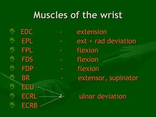 Hand Therapy - Treatment Modalities Of The Wrist | PPT