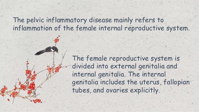 Treatment and health care for pelvic inflammatory disease | PDF