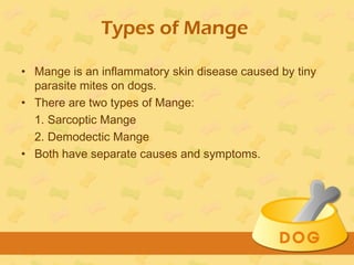 Treatment for mange in dogs | PPT