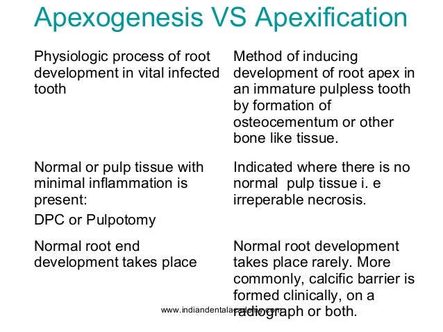 Treatment modalities for a young permanent tooth with /certified fixe…