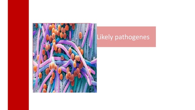 Treatment of CAP in adults who require hospitalization.pptx