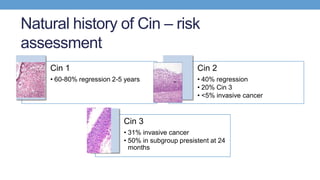Treatment of cin2 and persisten c in1 | PPTX