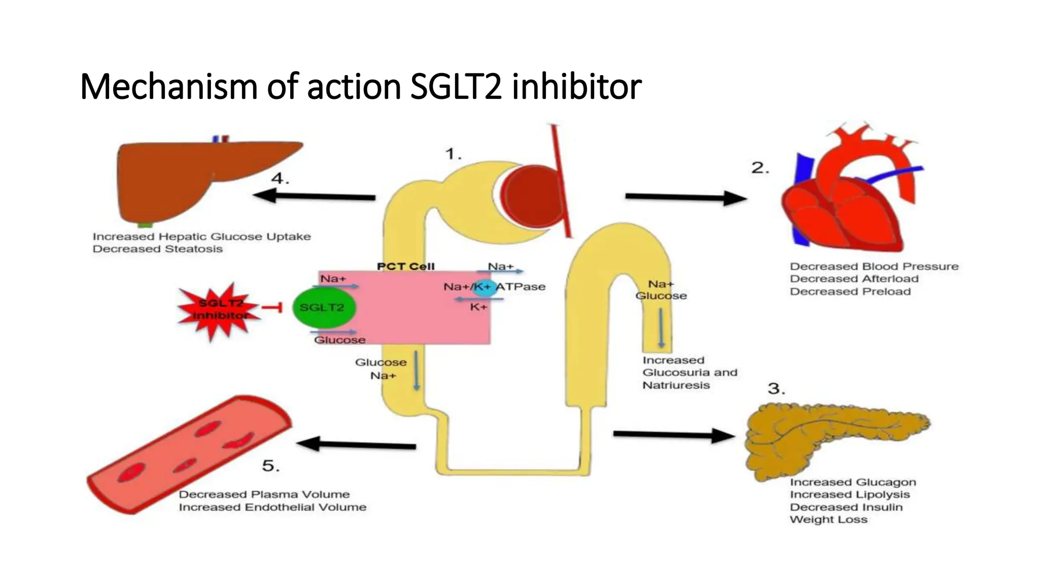 Treatment of DM2 07-11-2023.pptx