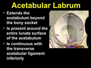 Arthroscopy of the Hip for Labral Pathology and FAI: Indications and ...