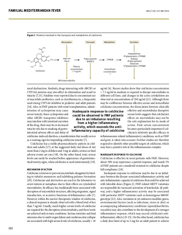 Treatment of familial mediterranean fever: colchicine and beyond