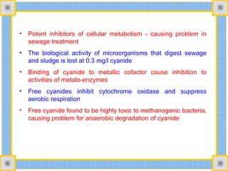 Treatment of industrial waste water biological remediation of cyanides ...