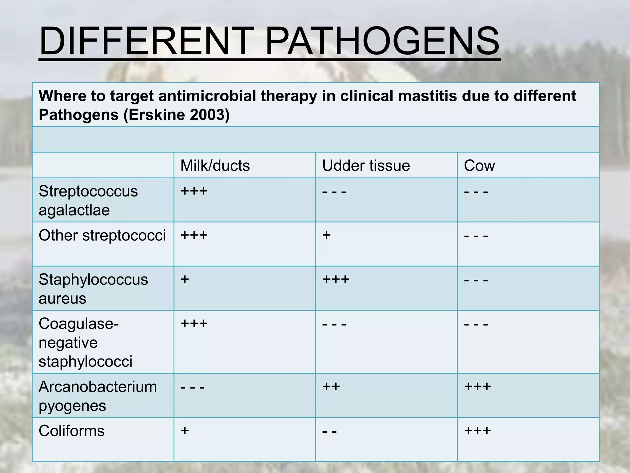 Treatment of mastitis during lactation | PPTX