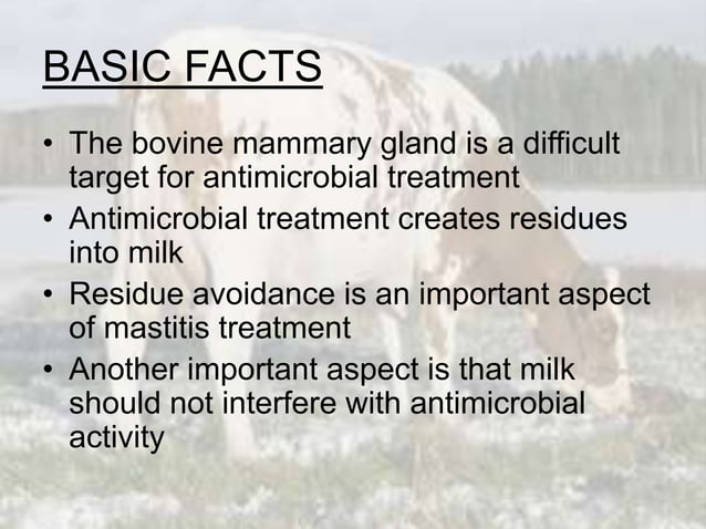 Treatment of mastitis during lactation | PPTX