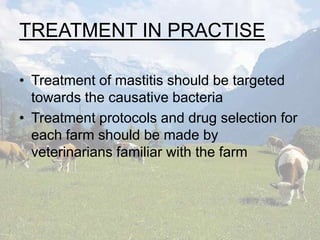Treatment of mastitis during lactation | PPTX