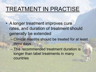Treatment of mastitis during lactation | PPTX