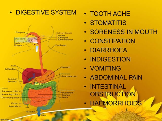 Treatment of minor ailments | PPTX