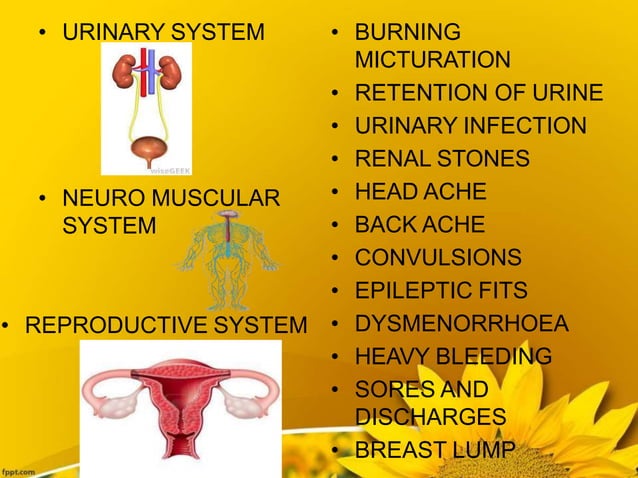 Treatment of minor ailments | PPTX