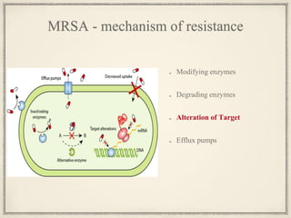 Treatment of mrsa infection | PPTX