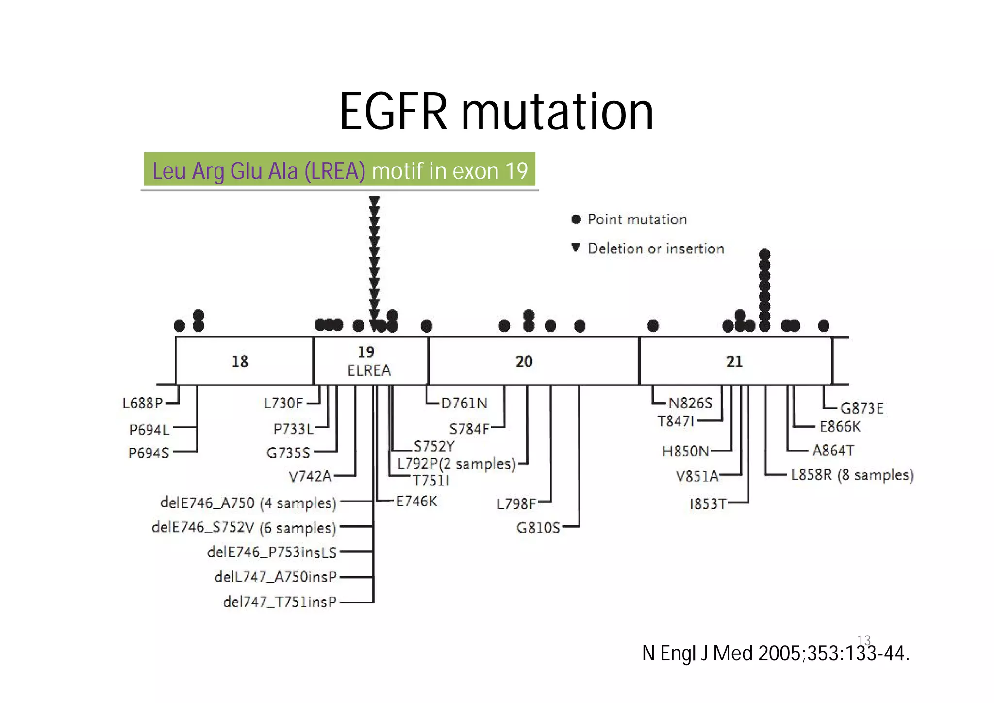 Treatment of Non–Small-Cell Lung Cancer with Erlotinib or Gefitinib | PDF
