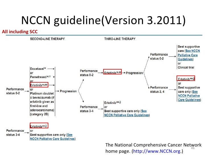 Nccn Nonsmall Cell Lung Cancer Guidelines Update Slides