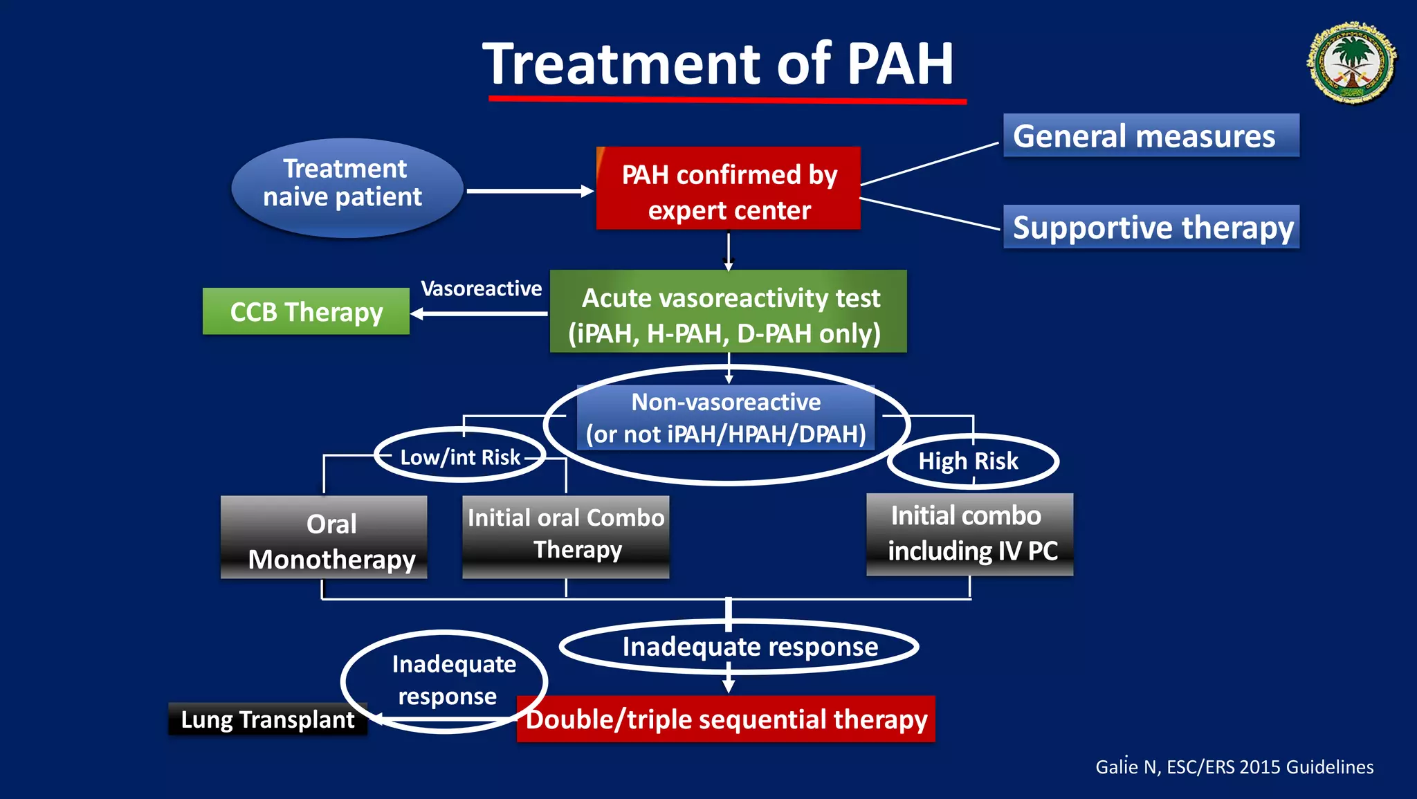 Update on the Management of Pulmonary Hypertension | PDF