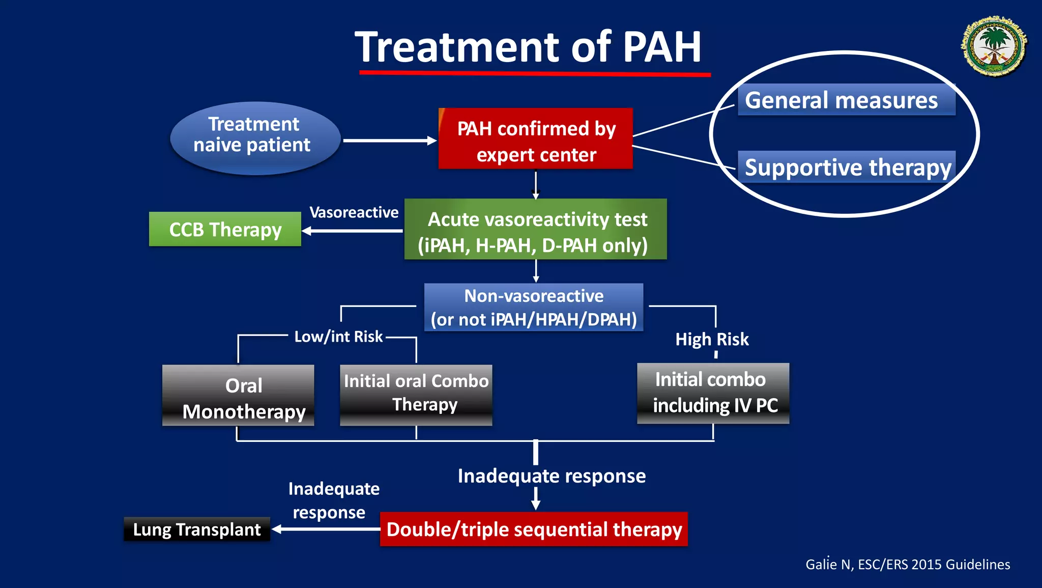 Update on the Management of Pulmonary Hypertension | PDF