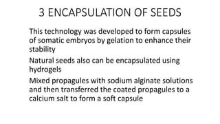 treatment of seeds.pptx