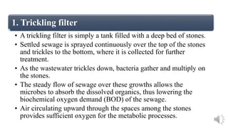 Treatment of waste water | PPTX