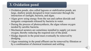 Treatment of waste water | PPTX
