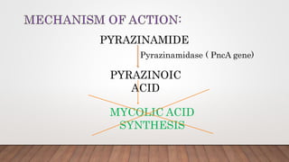 Treatment of tuberculosis | PPT