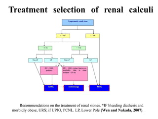 Treatment selection of renal calculi | PPTX | Surgery | Medical Health