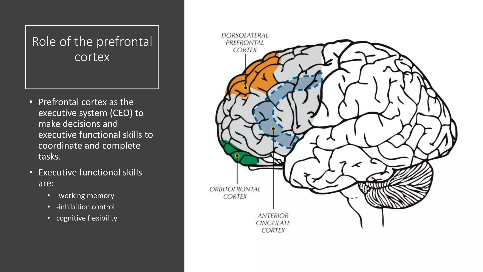 ADHD Treatments and Psychopharmacology | PPTX