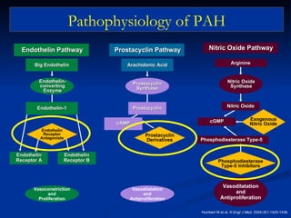 Treatment strategies for pulmonary hypertension | PPT