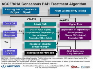 Treatment strategies in pht | PPTX | Lung and Respiratory Health ...