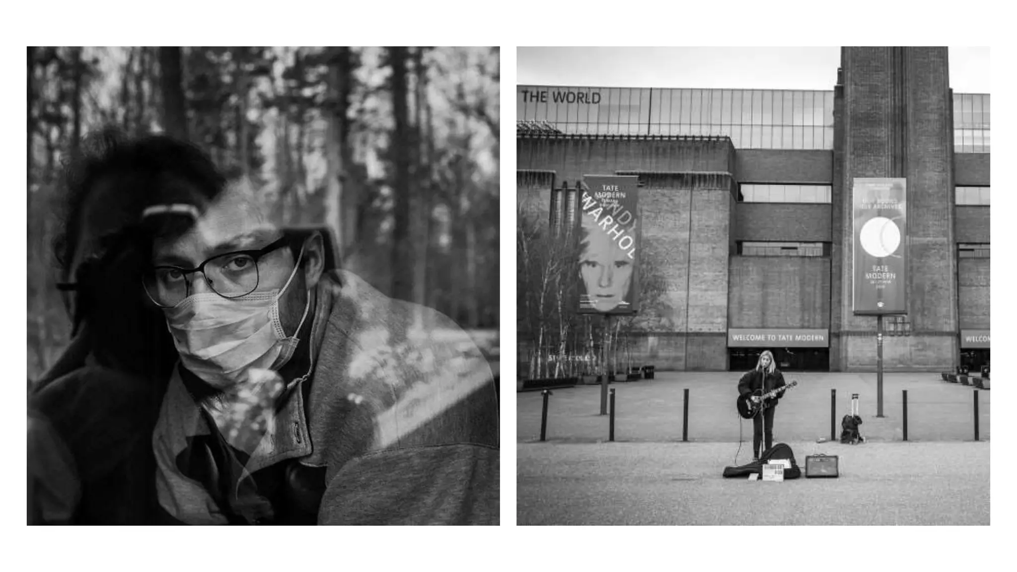 Transparent Animals | PPTX