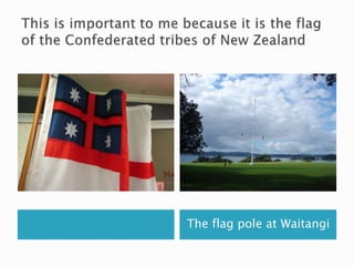 Treaty of waitangi jaime | PPTX