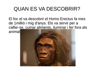 El foc a la prehistòria | ODP