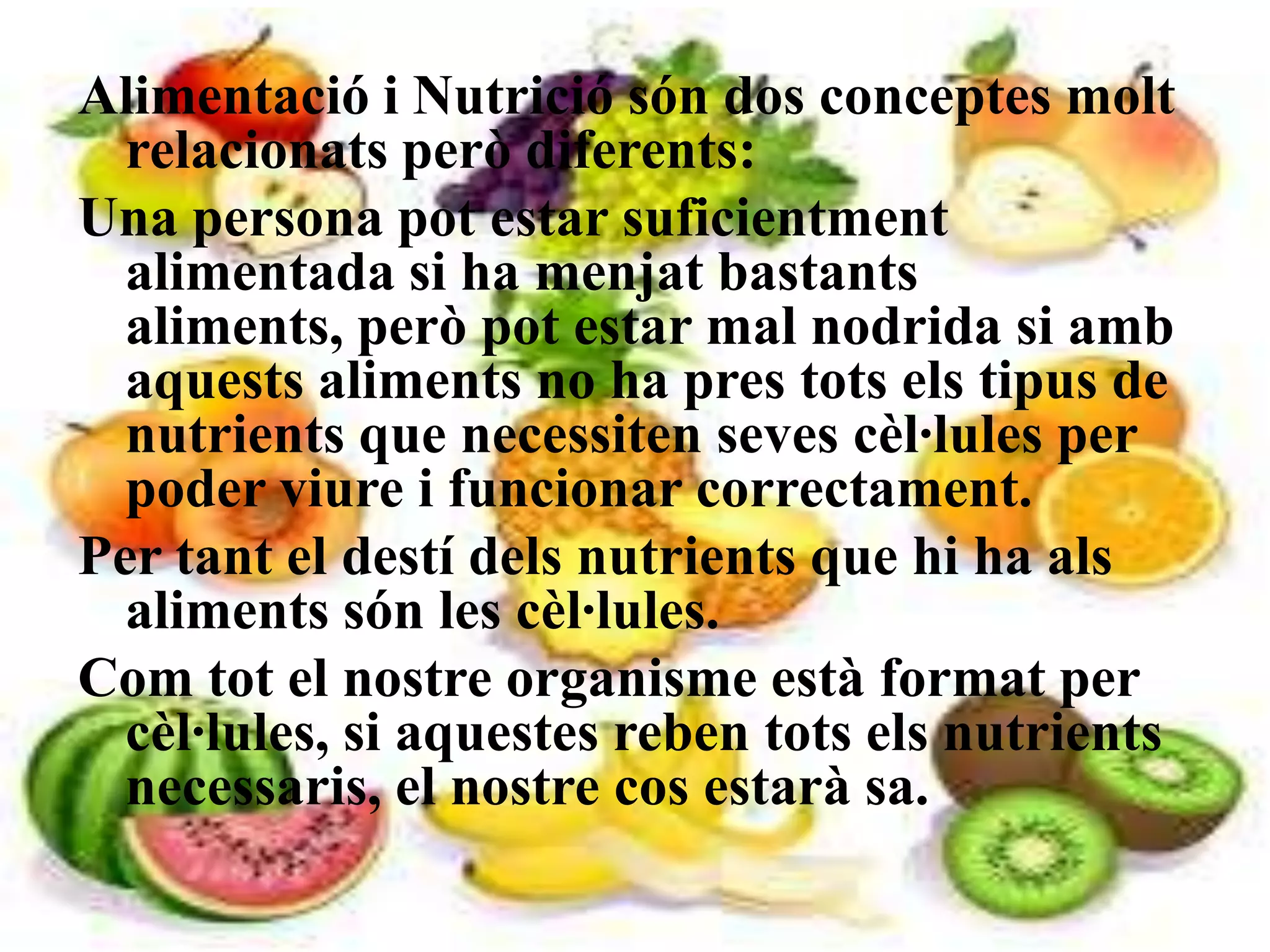 Treball de bio-gio | PPT