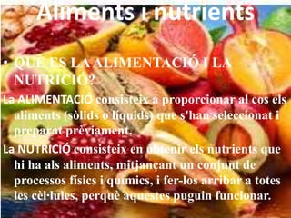 Treball de bio-gio | PPT