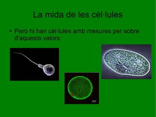 Treball de biologia jejejej alarcon | ODP