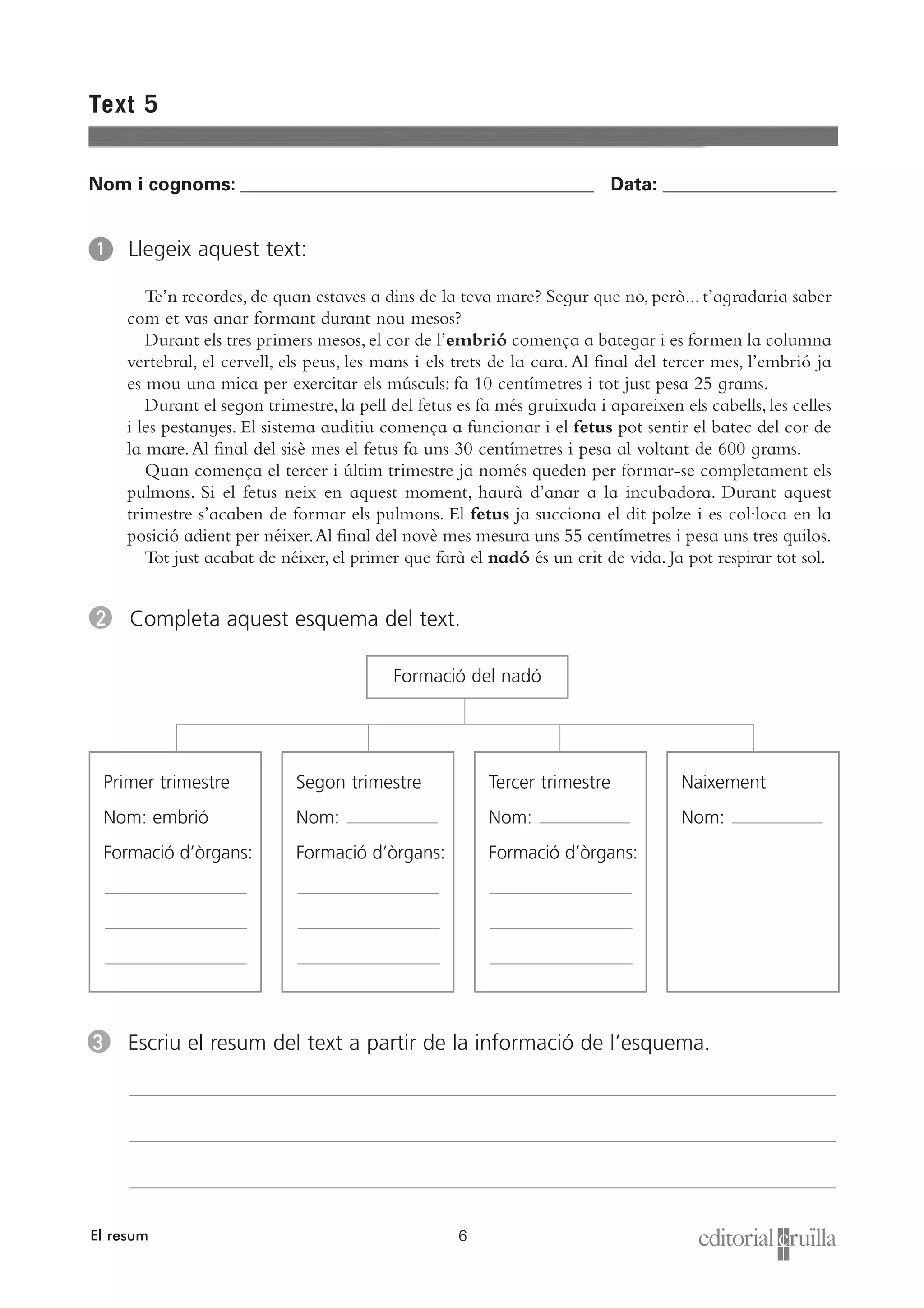 Treballem textos comprensio_catala_6 | PDF