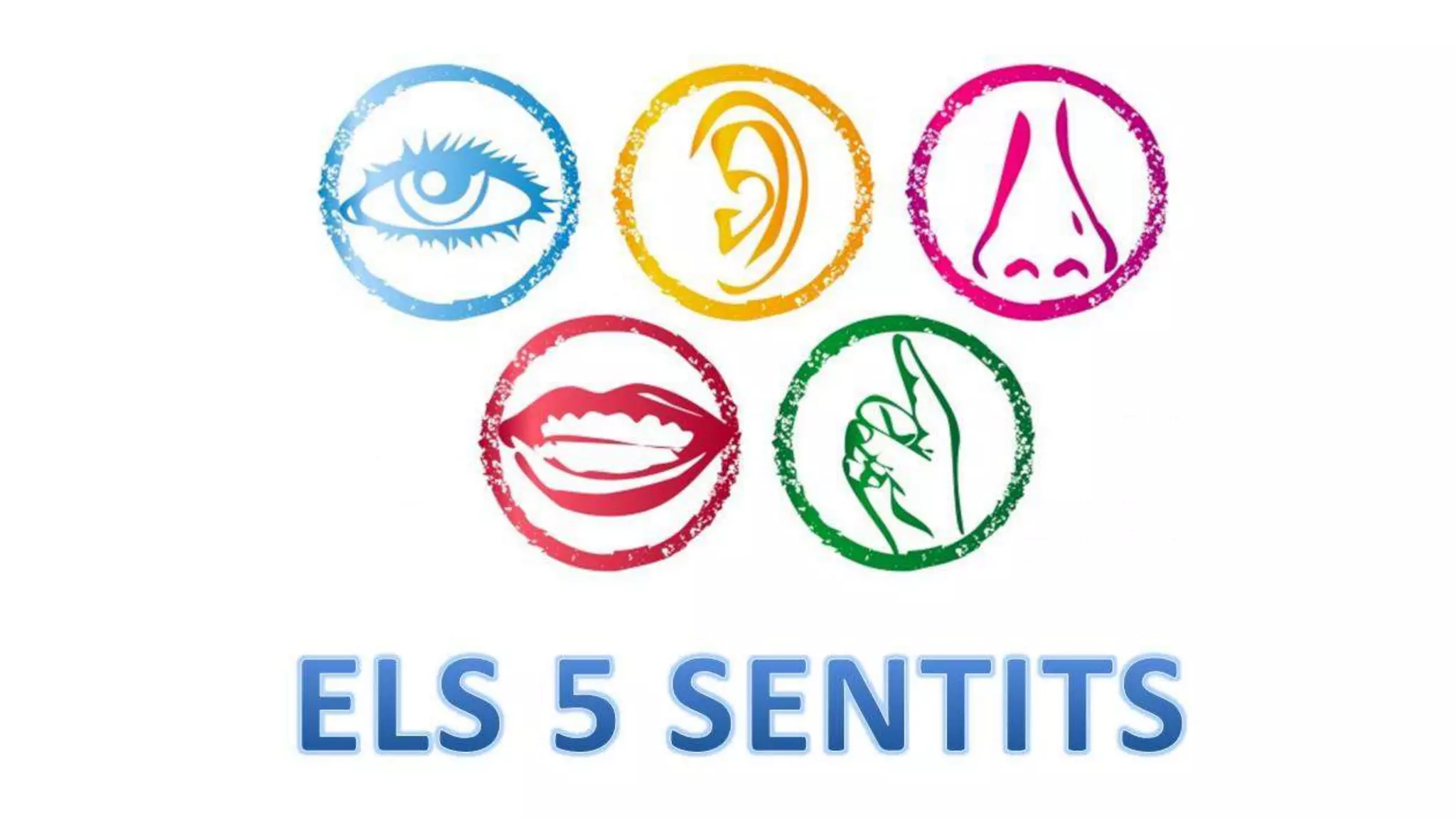 Treball laia dels 5 sentits | PPT