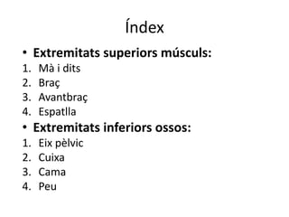 Treball musculs i ossos | PDF
