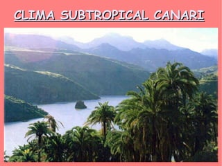 Paisatge subtropical | ODP