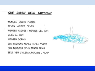 PROJECTE TAURONS P4 2019 20 | PPT