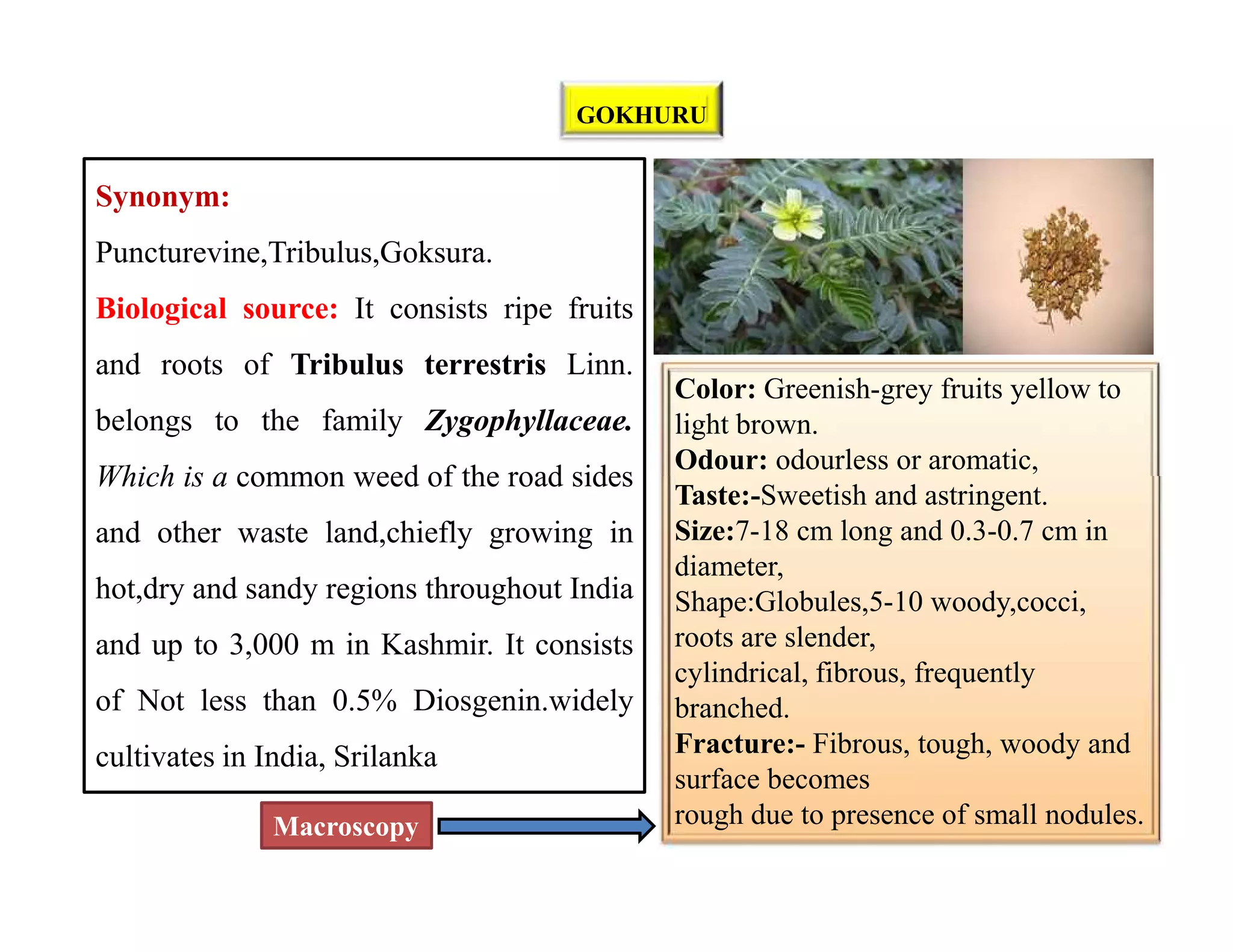 STUDY OF TRADITIONAL DRUGS | PDF