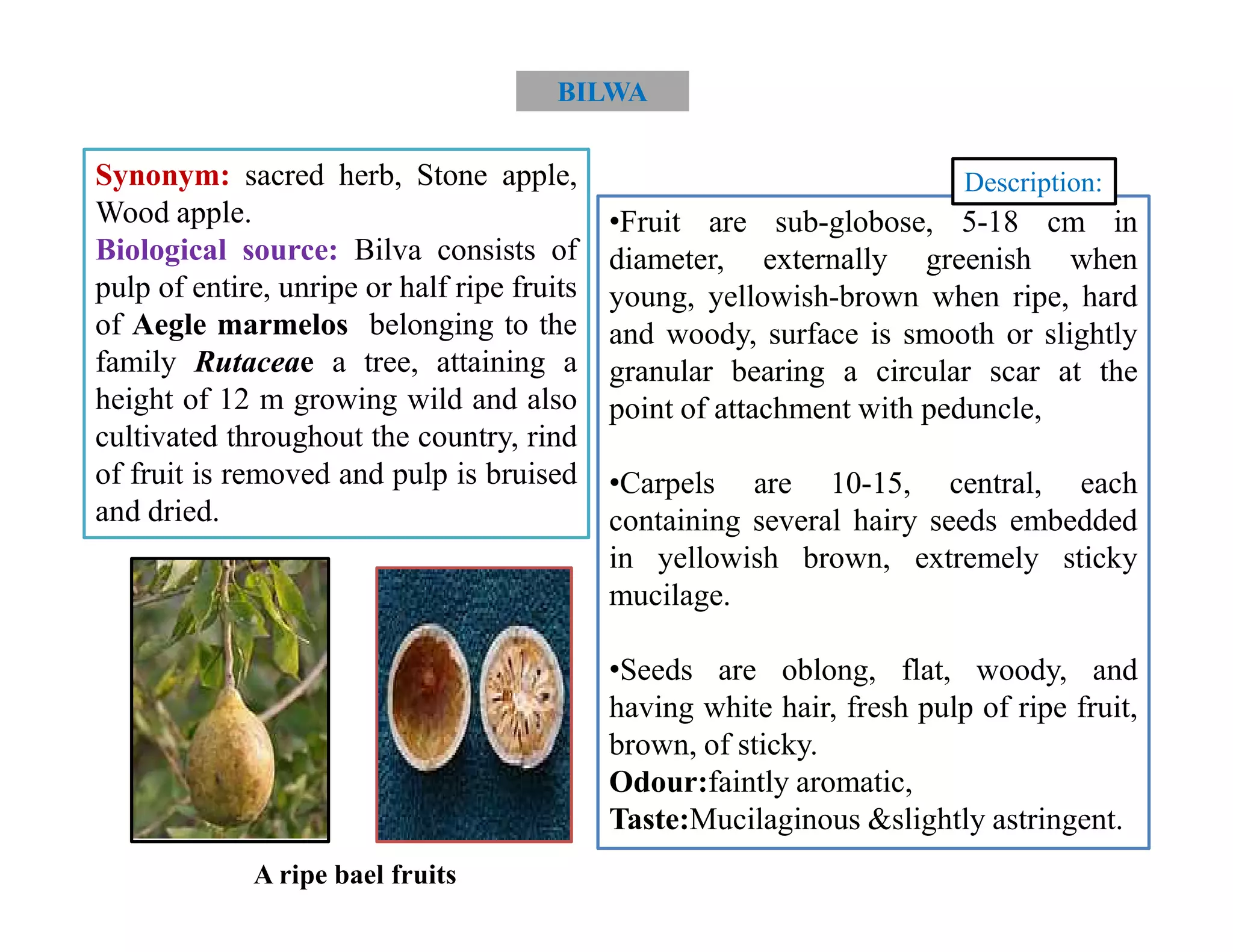 STUDY OF TRADITIONAL DRUGS | PDF