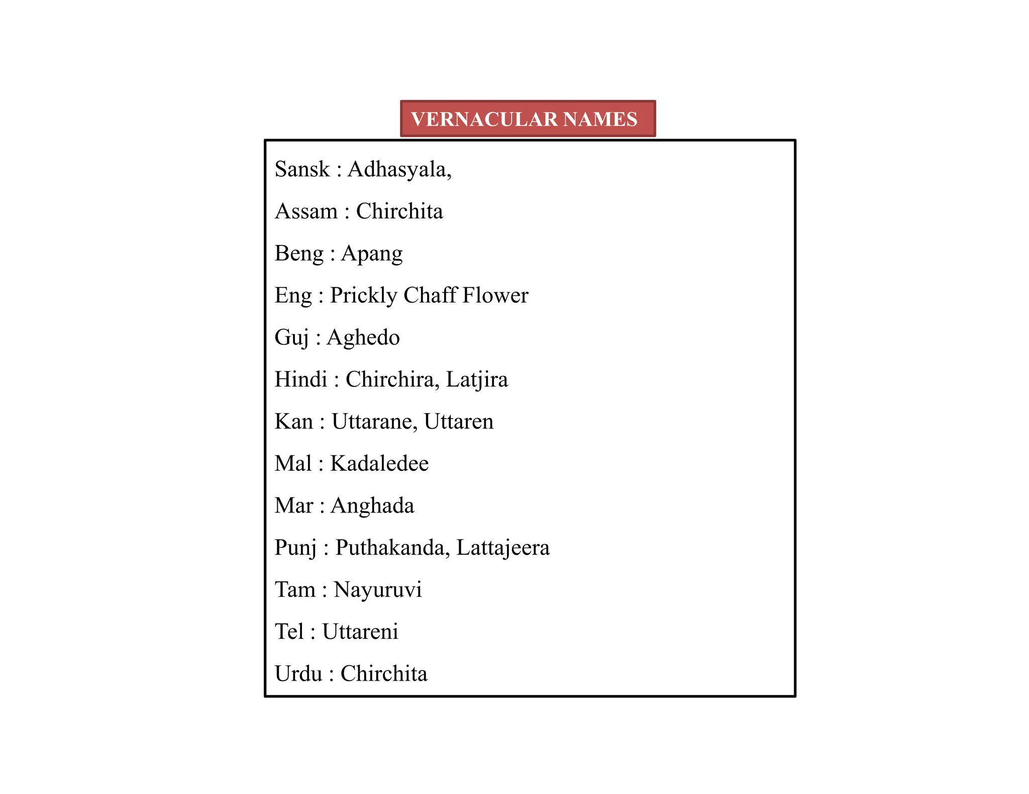 STUDY OF TRADITIONAL DRUGS | PDF