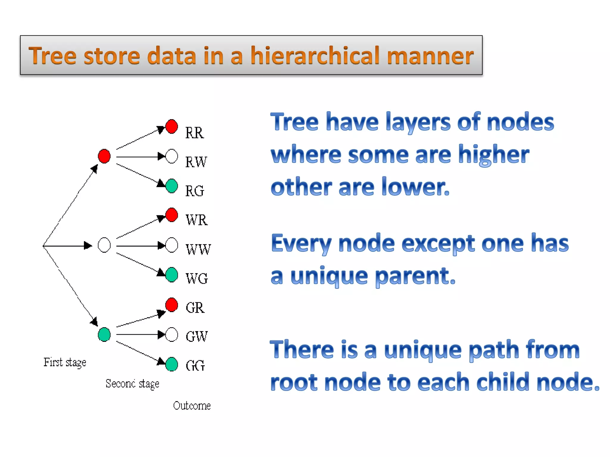 Tree in Discrete structure | PPT