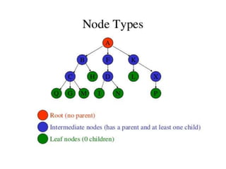 Tree in Discrete structure | PPT
