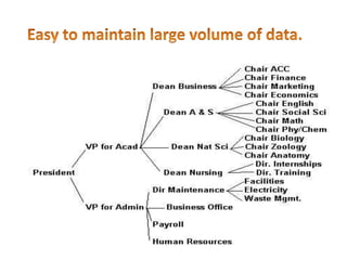 Tree in Discrete structure | PPT