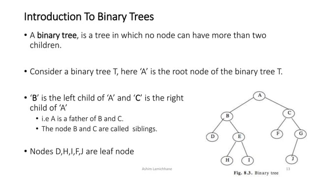 Tree - Data Structure | PPTX | Programming Languages | Computing