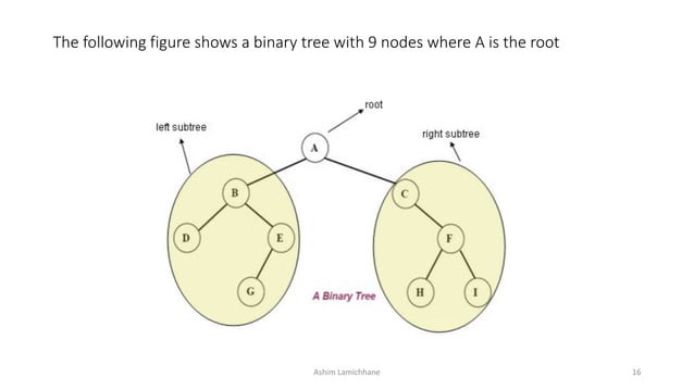 Tree - Data Structure | PPTX | Programming Languages | Computing