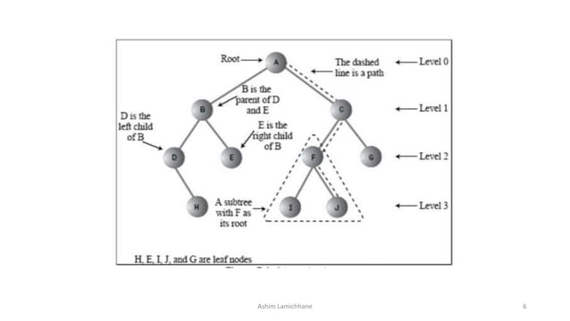 Tree - Data Structure | PPTX | Programming Languages | Computing