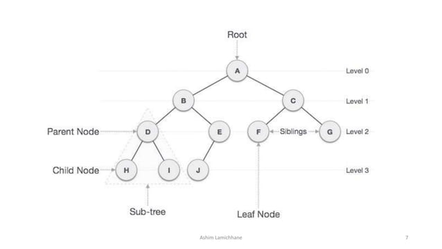 Tree Data Structure Pptx Programming Languages Computing